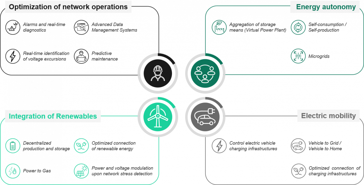 Developing Smart Grids